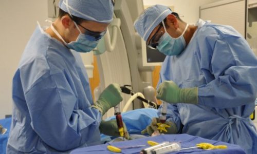 Hiện Tượng Chimerism: Dấu Hiệu, Nguyên Nhân, Phòng Tránh