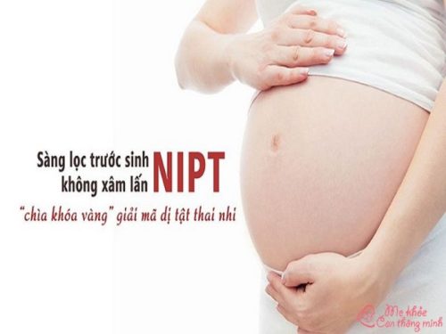 Kết quả xét nghiệm NIPT cho biết điều gì? Hướng dẫn cách đọc